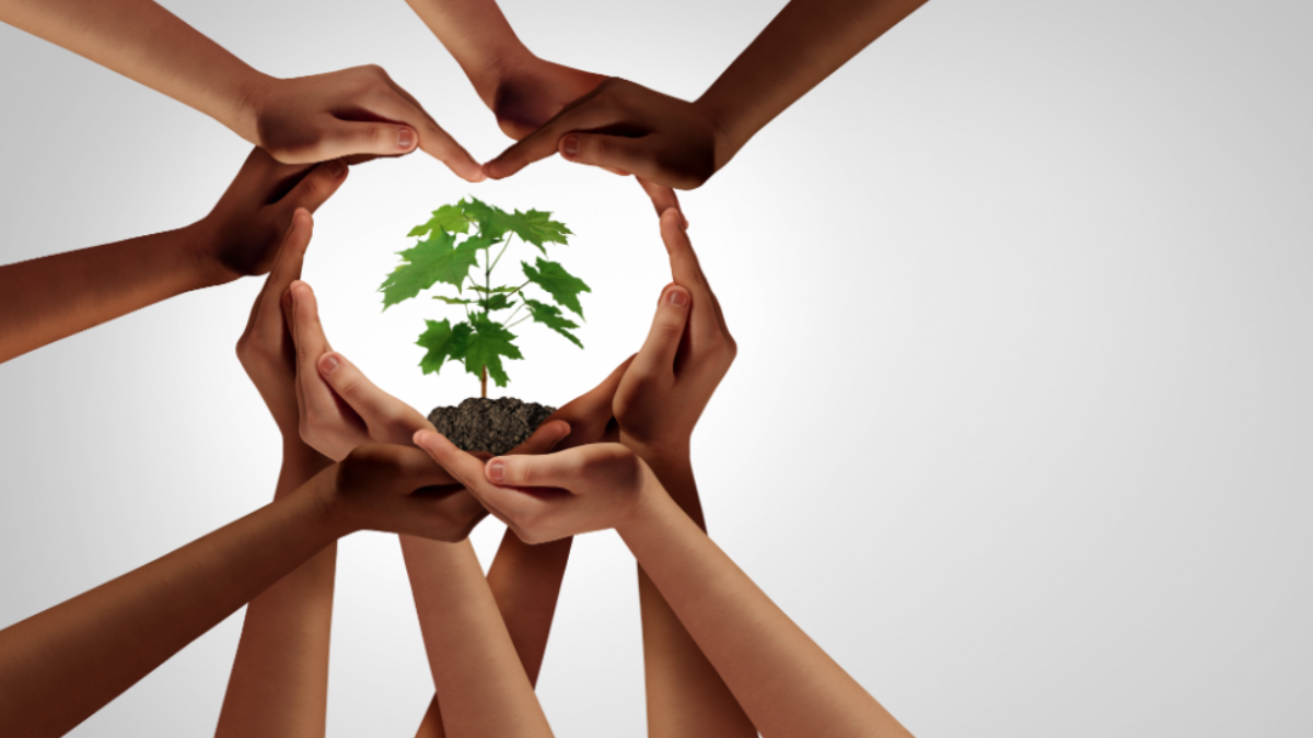 La Protection de l'Environnement